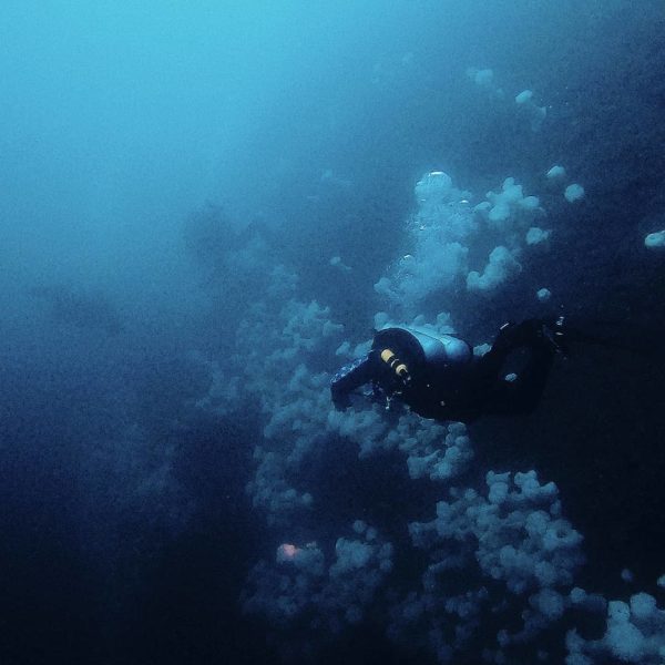 Where to Scuba Dive in Anchorage, Alaska? – DiveAlaska